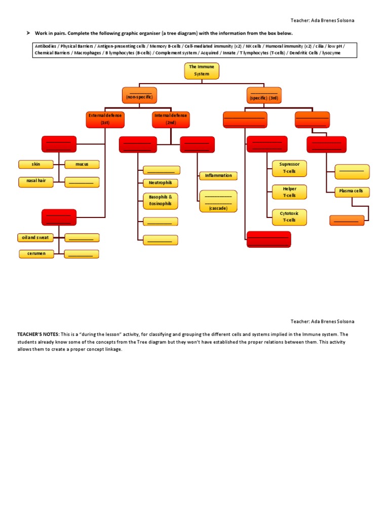 Activity. Graphic Organiser Immune system | Immune System | Lymphocyte