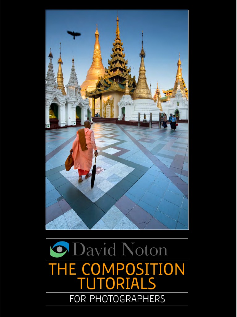 David Noton Composition Tutorials Preview 1 | PDF | Portrait ...