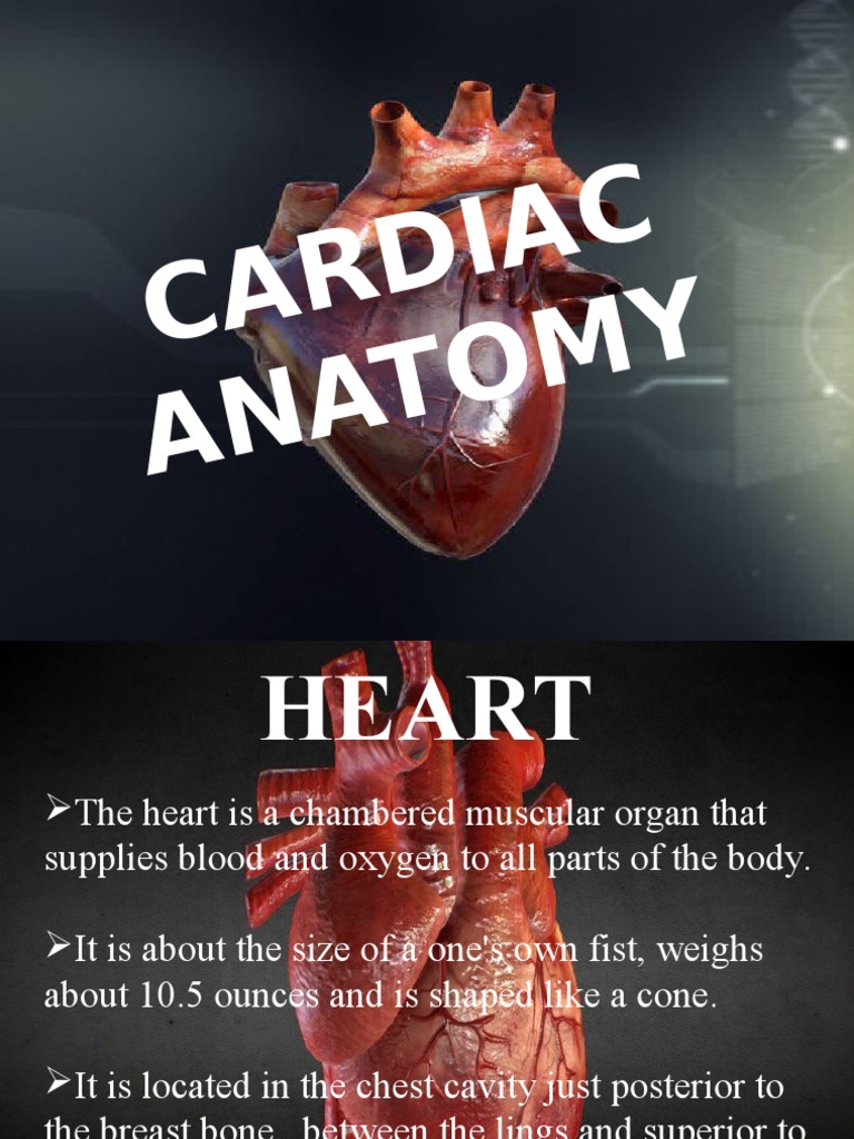 Austin Cardiology | PDF | Heart Valve | Atrium (Heart)