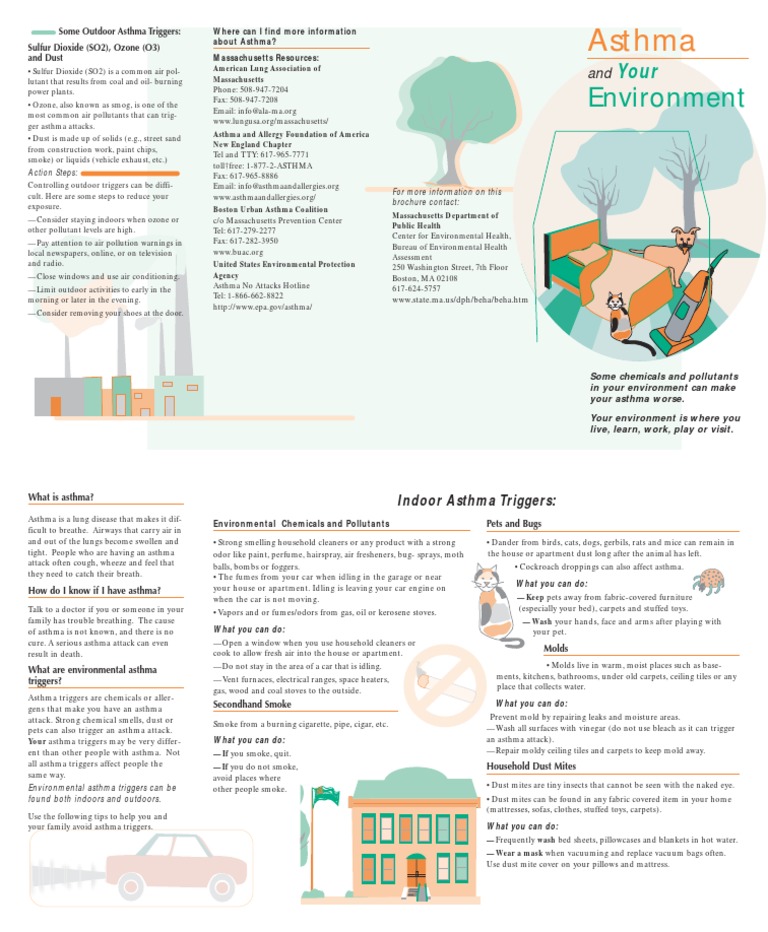 MDPH Asthma Brochure | Asthma | Dust