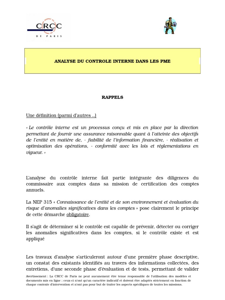 Nep 315 Questionnaire Pme Analyse Controle Interne Rappels | Contrôle ...