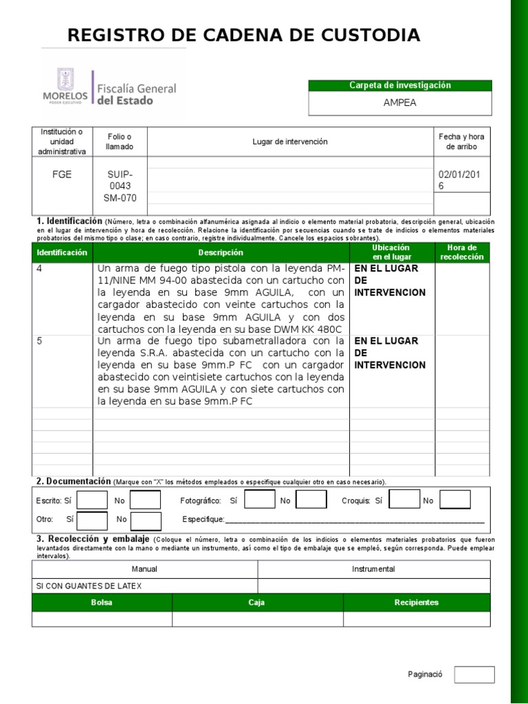 Cadena Armas | PDF | Armas de fuego | Conflicto armado