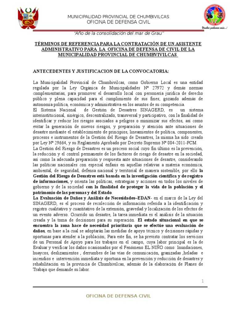 TDR ASISTENTE Administrativo | PDF | Regulación | Gobierno