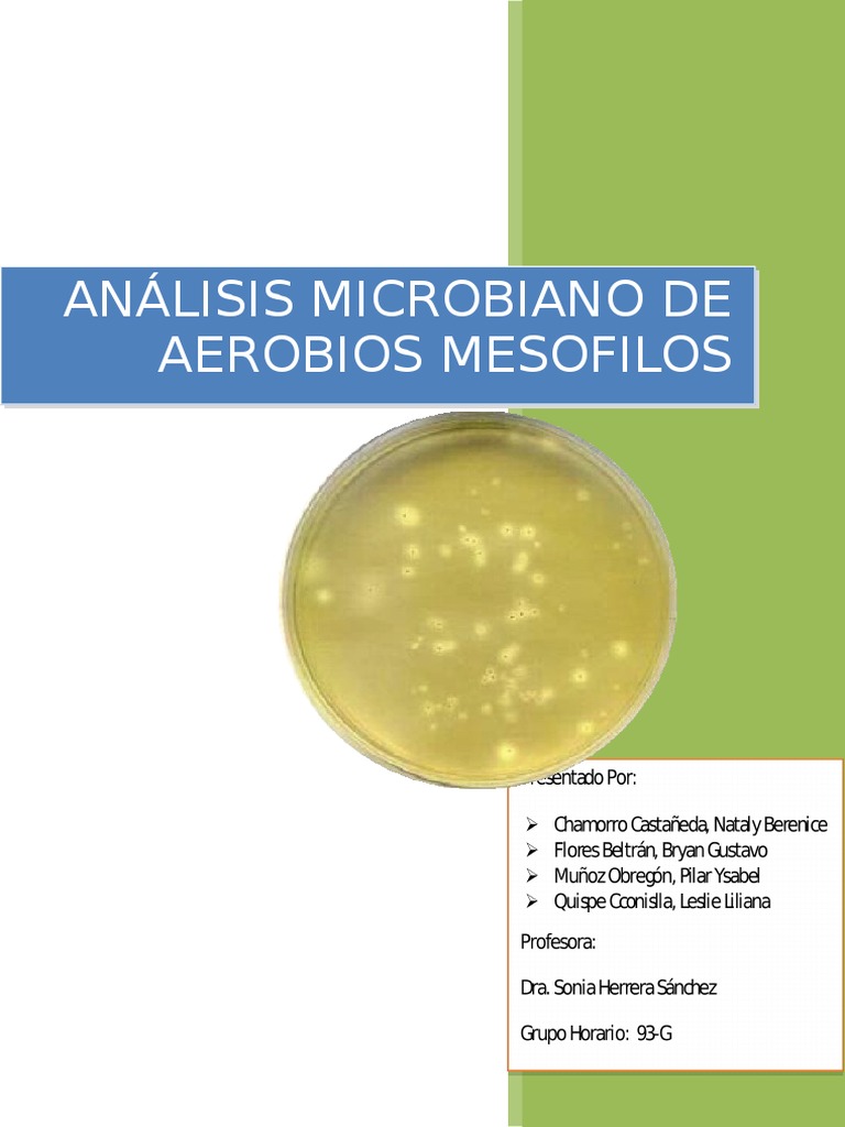 Aerobios Mesofilos | PDF | Queso | Vino