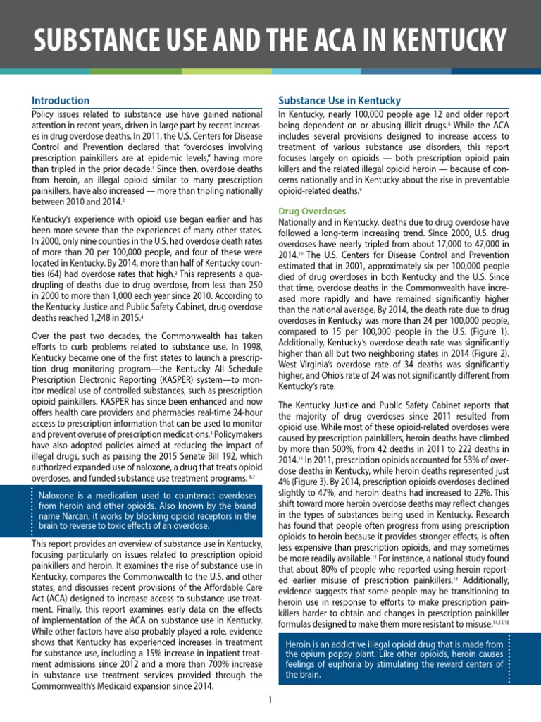 Substance Use Issue Brief | PDF | Self-Improvement | Wellness