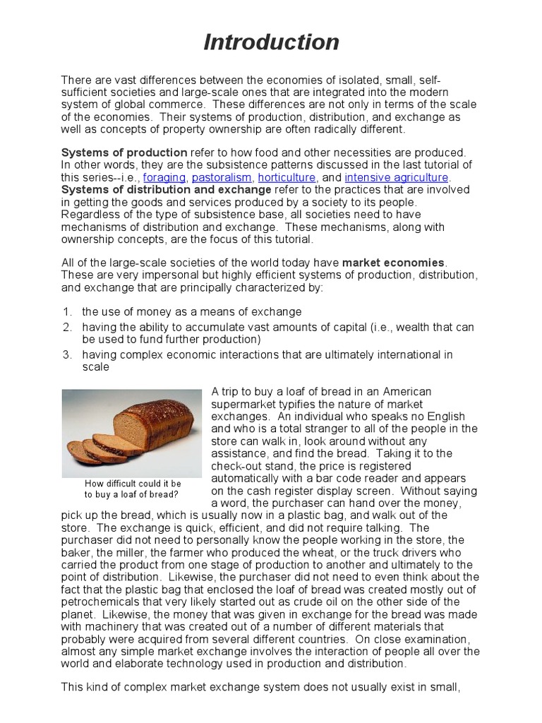 Economic Systems - Introduction | PDF | Medium Of Exchange | Money