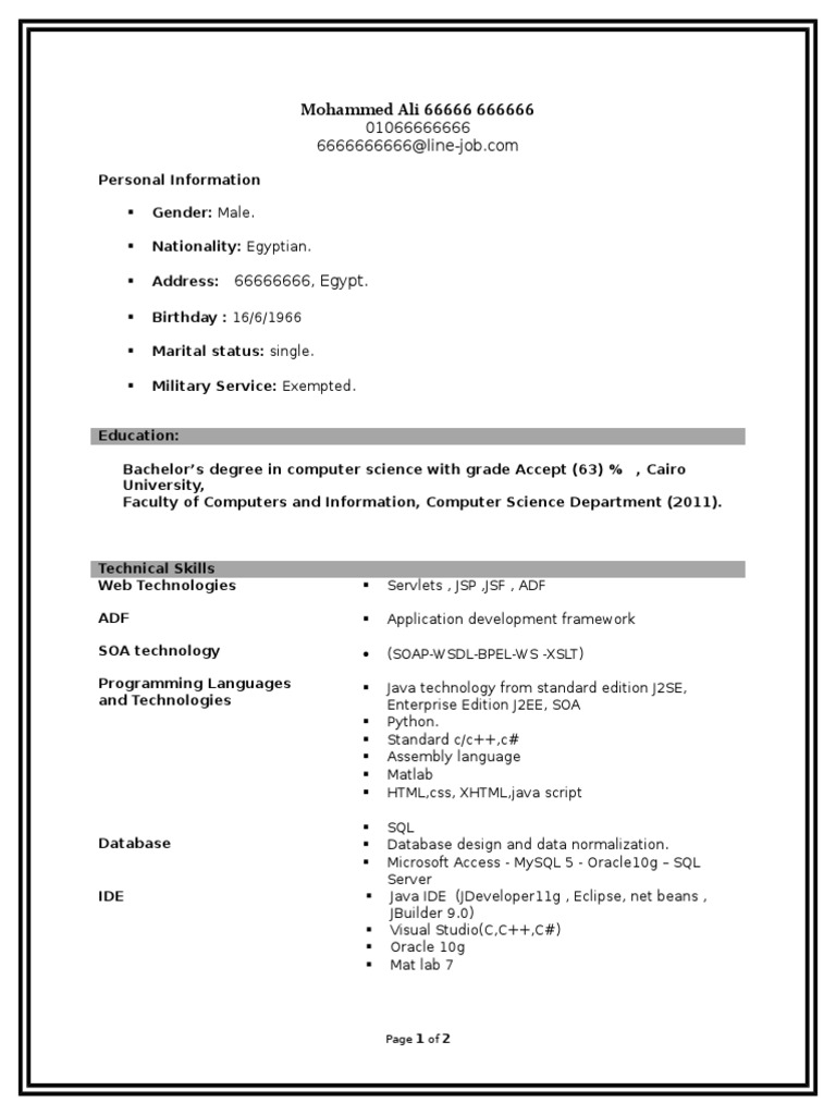It Cv En Pdf Areas Of Computer Science Computing Platforms