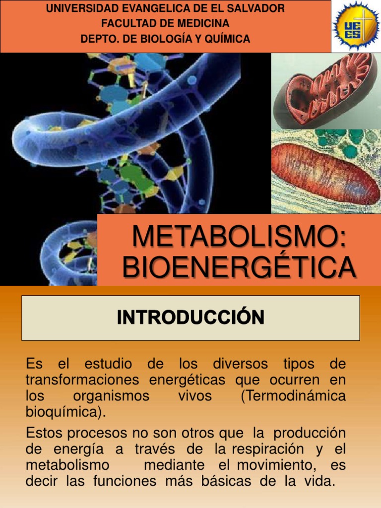 Bioenergética | PDF | Biología Celular | Bioquímica