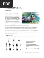 Etograma Animal | PDF | Etología | Comportamiento