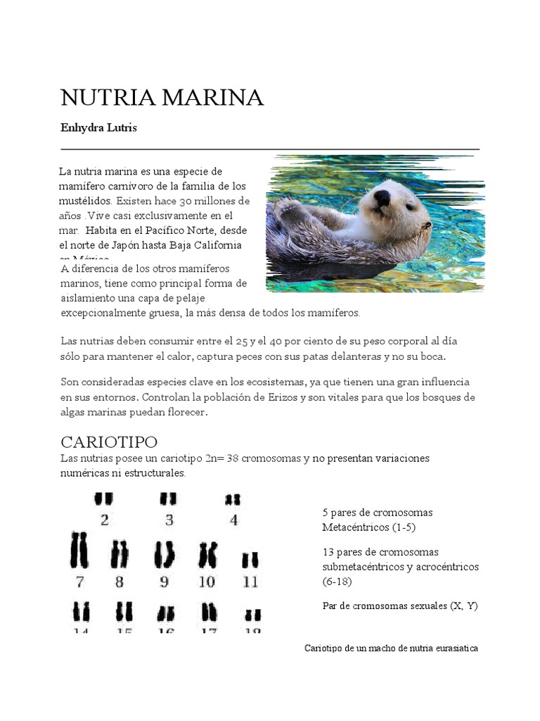 Nutria Marina Poster | PDF