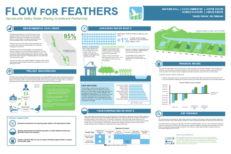 FFF Poster | PDF | Present Value | Net Present Value