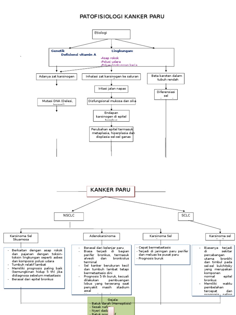 pathway_kanker_paru.doc