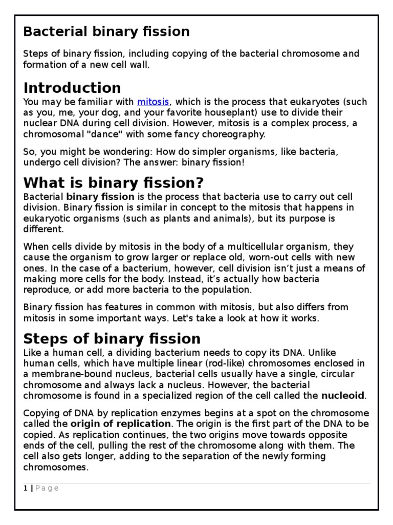 Bacterial Binary Fission | PDF | Mitosis | Cell (Biology)