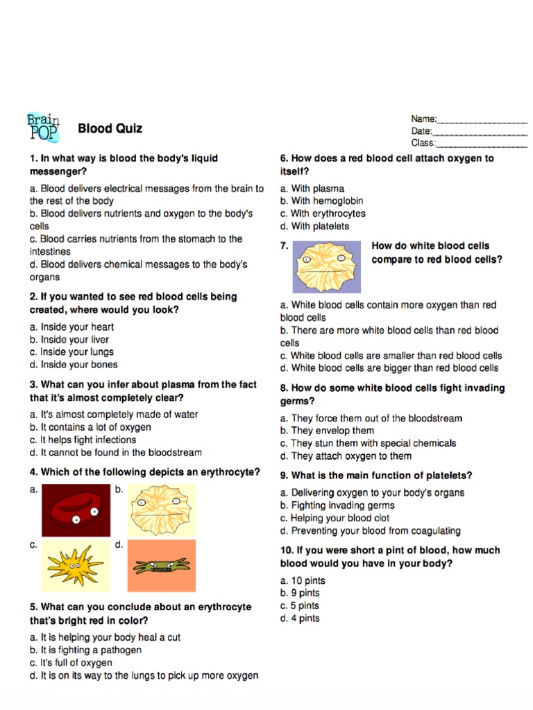 Blood Quiz | PDF