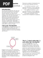 Cell Cycle Pogil Answers | PDF | Cell Cycle | Mitosis