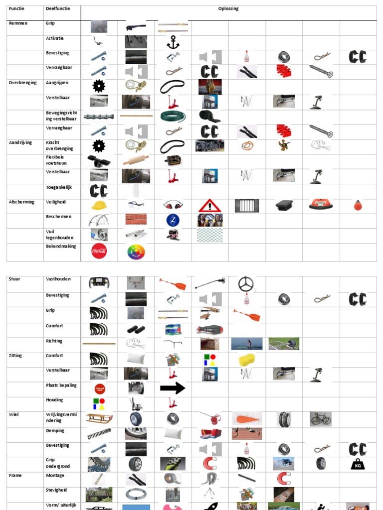 Morfologisch Overzicht | PDF