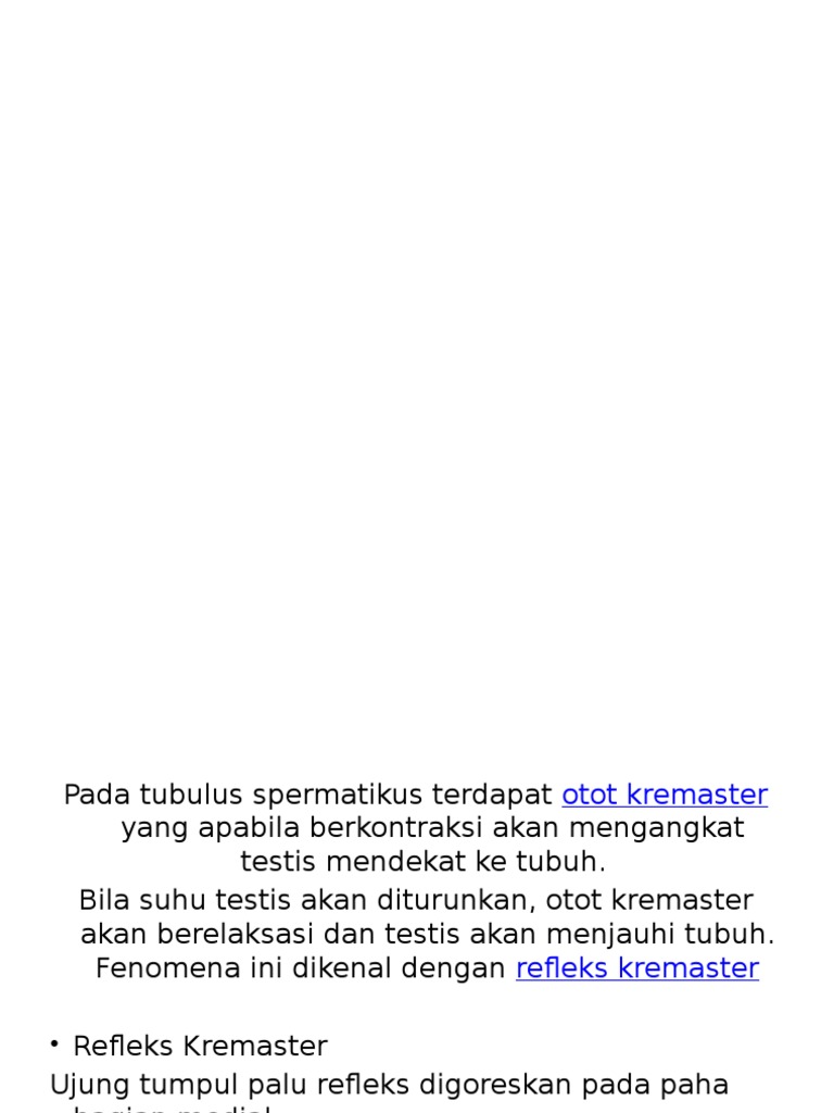 Kremaster | PDF | Pengembangan Diri