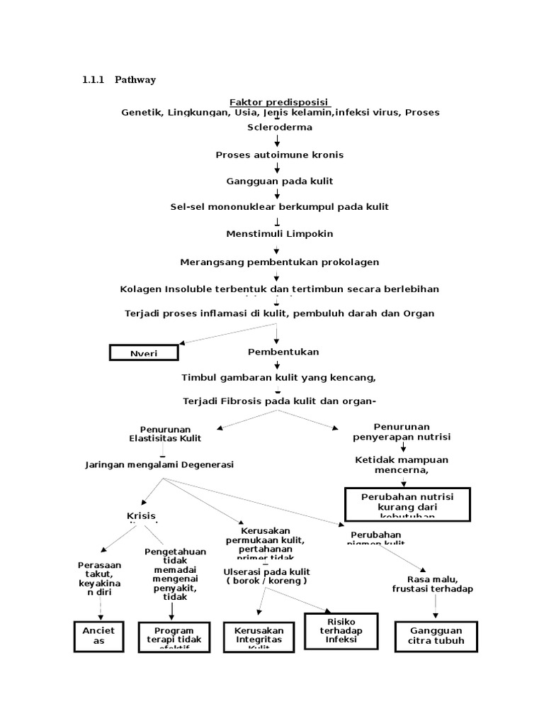 Scleroderma_Pathway_Faktor_Predisposisi_hingga_Risiko_Infeksi | PDF