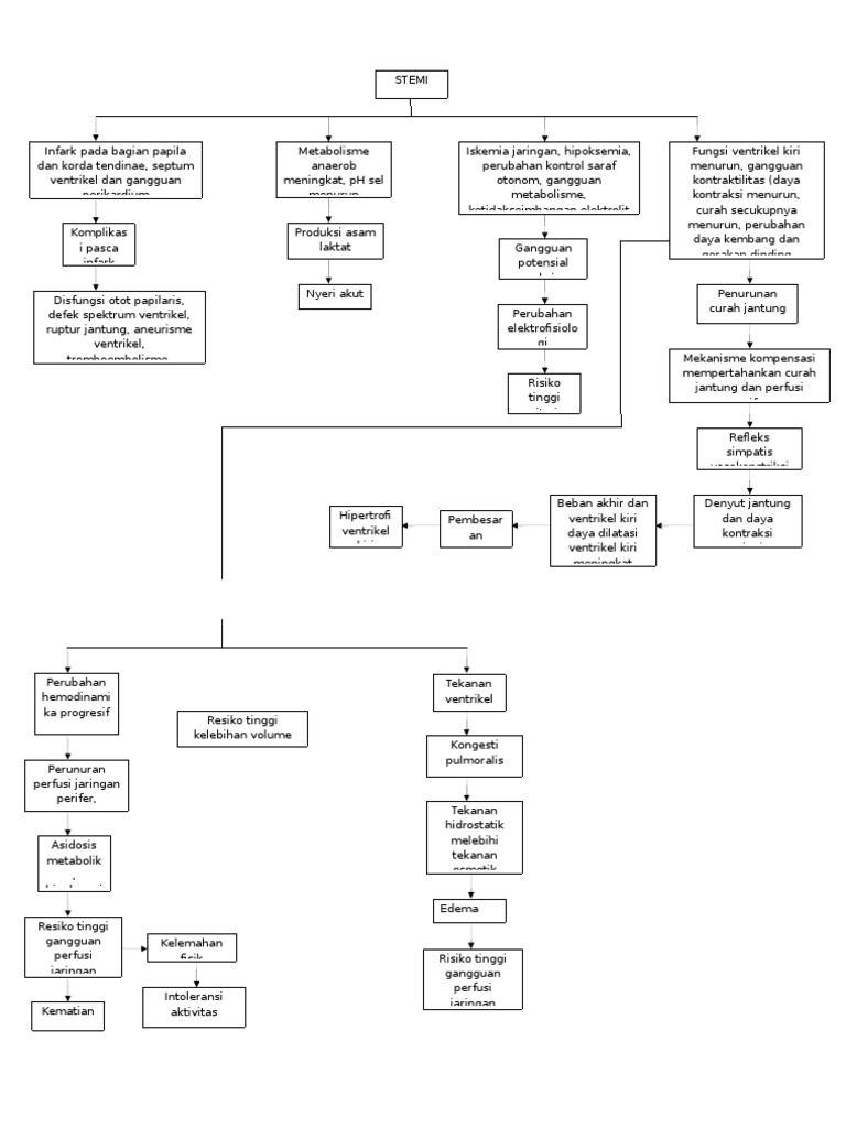 Patofisiologi Stemi Bag 2 | PDF