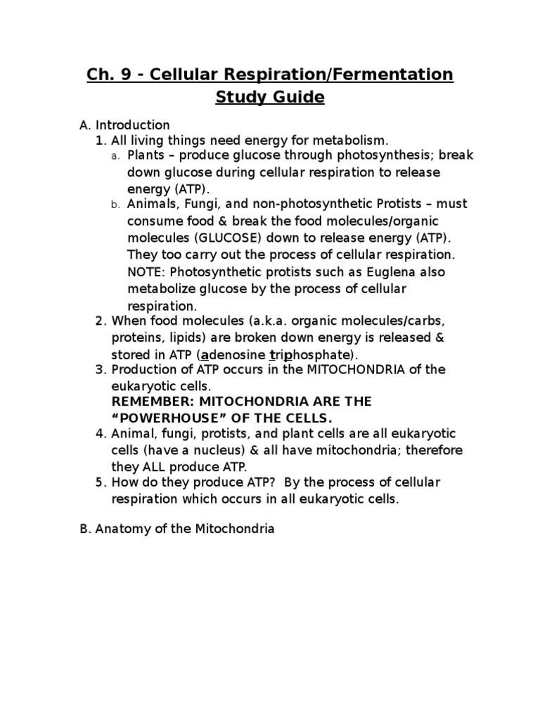 CH 9 Cellular Respiration and Fermentation Notes | PDF | Cellular ...