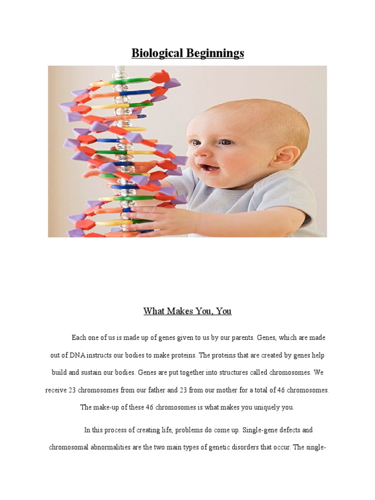 Biological Beginnings | PDF