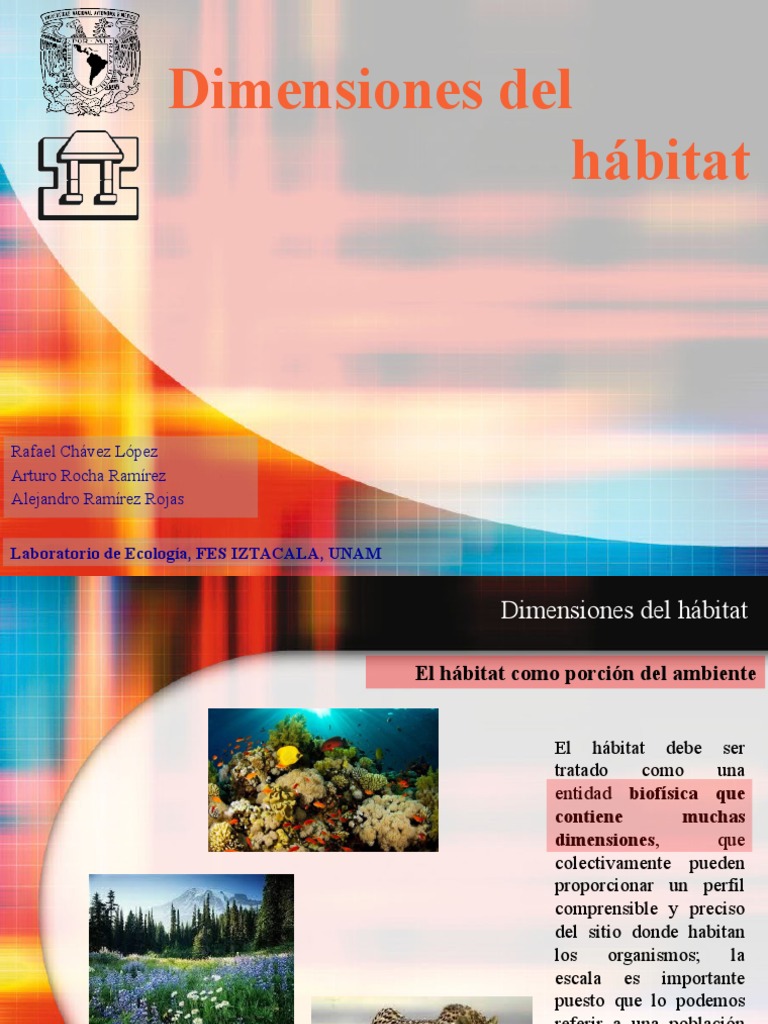 Dimensiones Del Habitat | PDF | Habitat | Dimensión