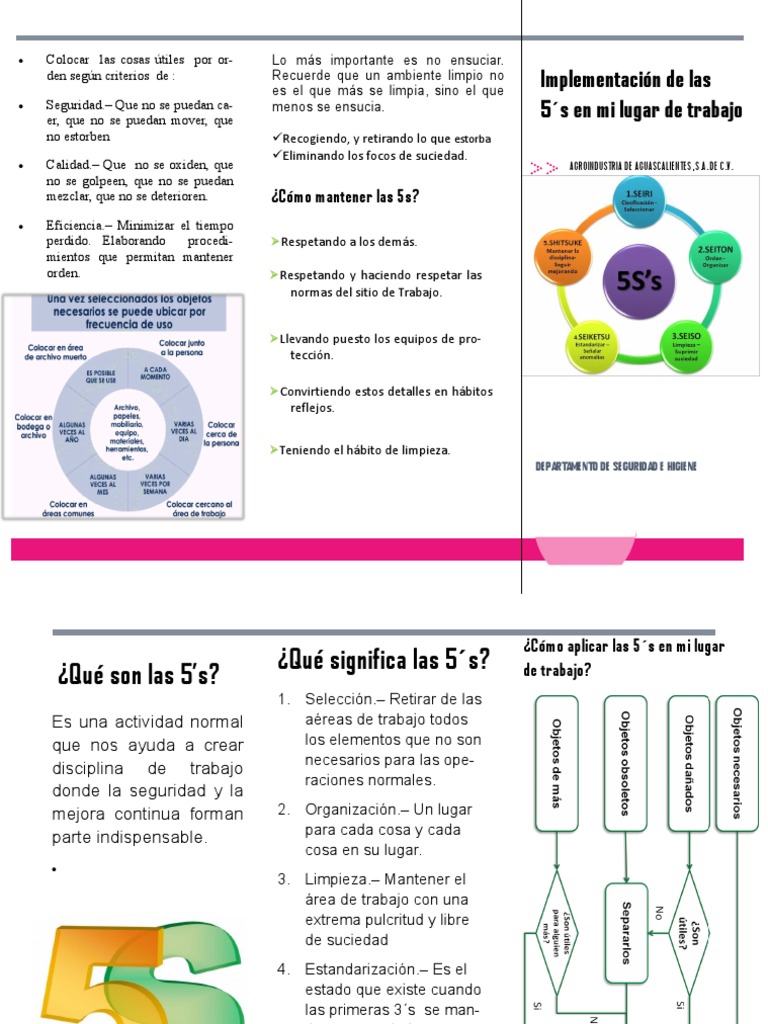 Triptico 5s Pdf Science Ciencia General