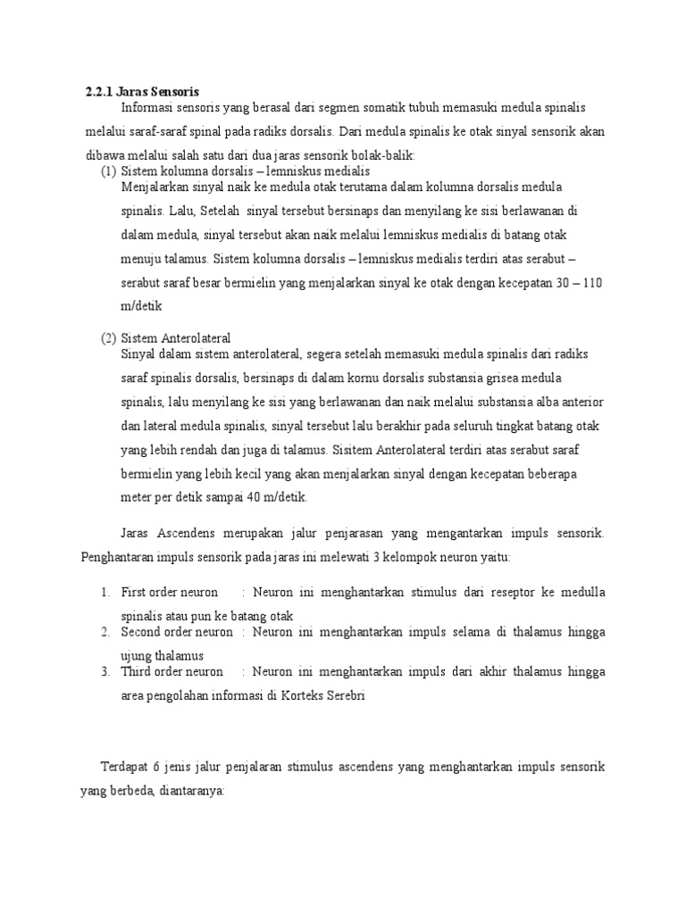 Penjalaran Impuls Sensorik | PDF