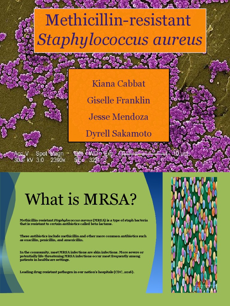 Mrsa PP Microsoft PP PPT Final Without NCP | PDF | Methicillin ...