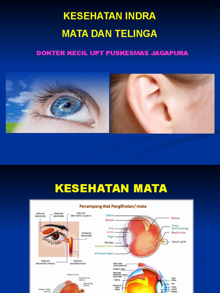 Kesehatan Indra (Mata Dan Telinga )
