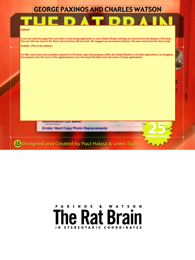 Rat Brain Atlas | Basal Ganglia | Laboratory Rat
