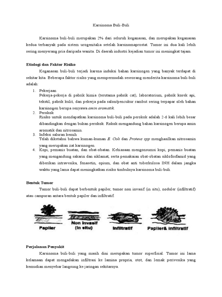 KANKER BULI-BULI: ETIOLOGI, GEJALA KLINIS, DAN PENATALAKSANAANNYA | PDF