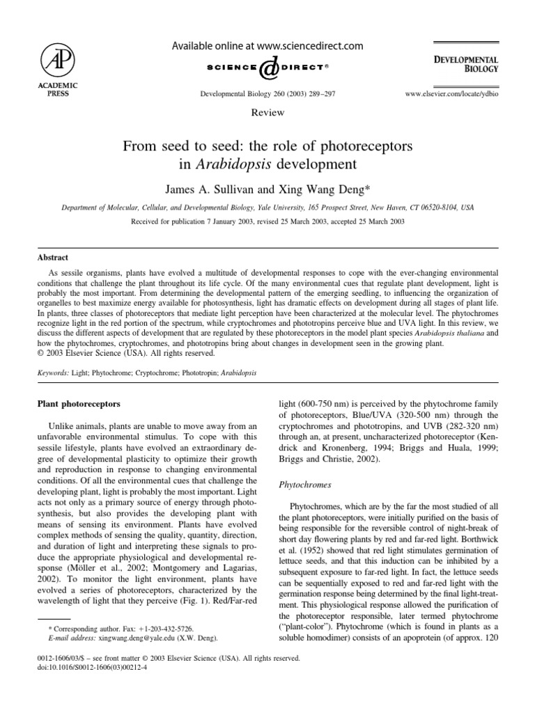 Sullivan and Wang Deng 2003 PDF | PDF | Arabidopsis Thaliana | Stoma