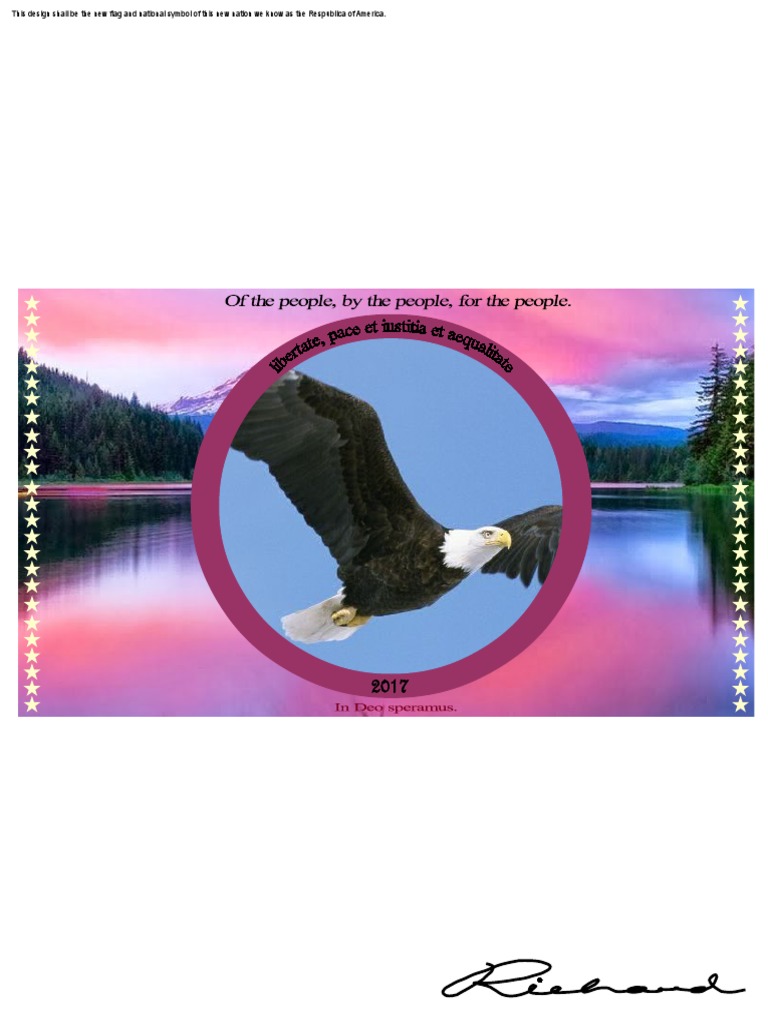 New American Flag | PDF