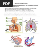 Sample NCP | PDF | Breathing | Respiratory Tract