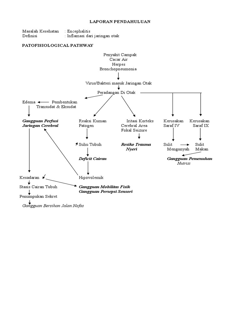 LP Encephalitis Pathway | PDF