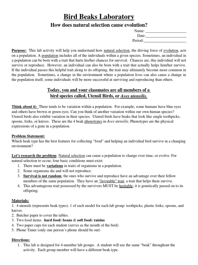 lab report | Natural Selection | Evolution