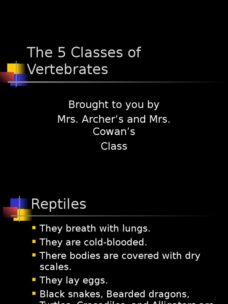 The Five Classes of Vertebrates: A Comparison of the Defining Physical ...