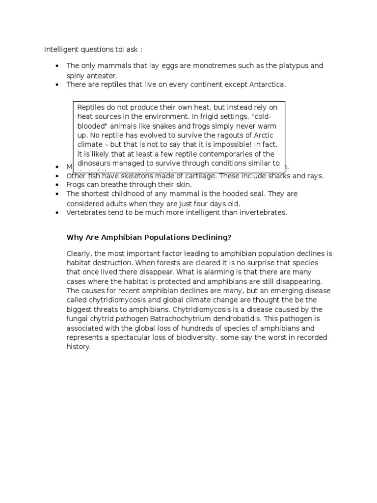 Intelligent Questions To Ask | PDF