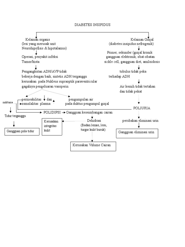 Pathway Diabetes Insipidus | PDF