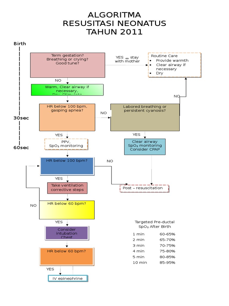 Neonatal Resuscitation Guide | PDF | Wellness