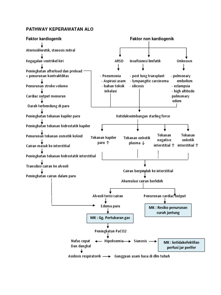 Pathway Keperawatan Alo | PDF