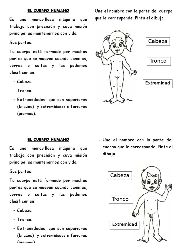 El Cuerpo Humano 1 | PDF