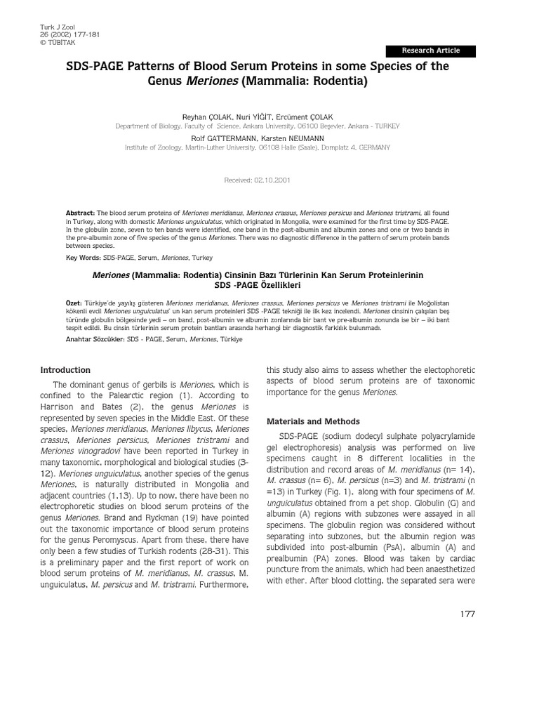 SDS-PAGE Patterns of Blood Serum Proteins in Some Species of The Genus ...