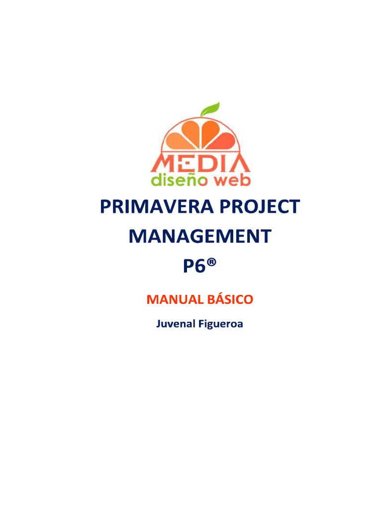 Manual Primavera p6 | PDF | Scheduling (Computing) | Login