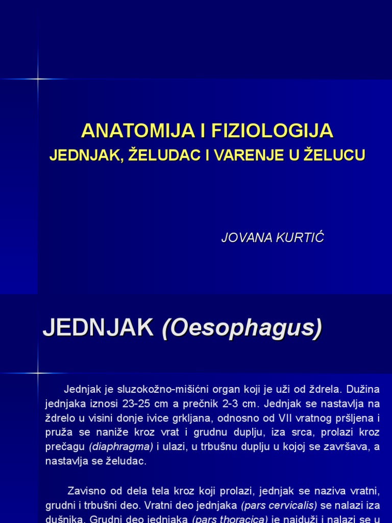 Jednjak I Zeludac | PDF