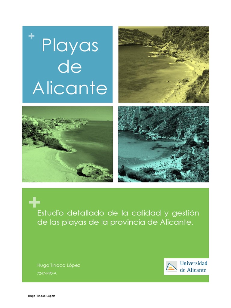Manual de Gestion de Playas TINOCO LOPEZ HUGO | PDF | Costa | playa