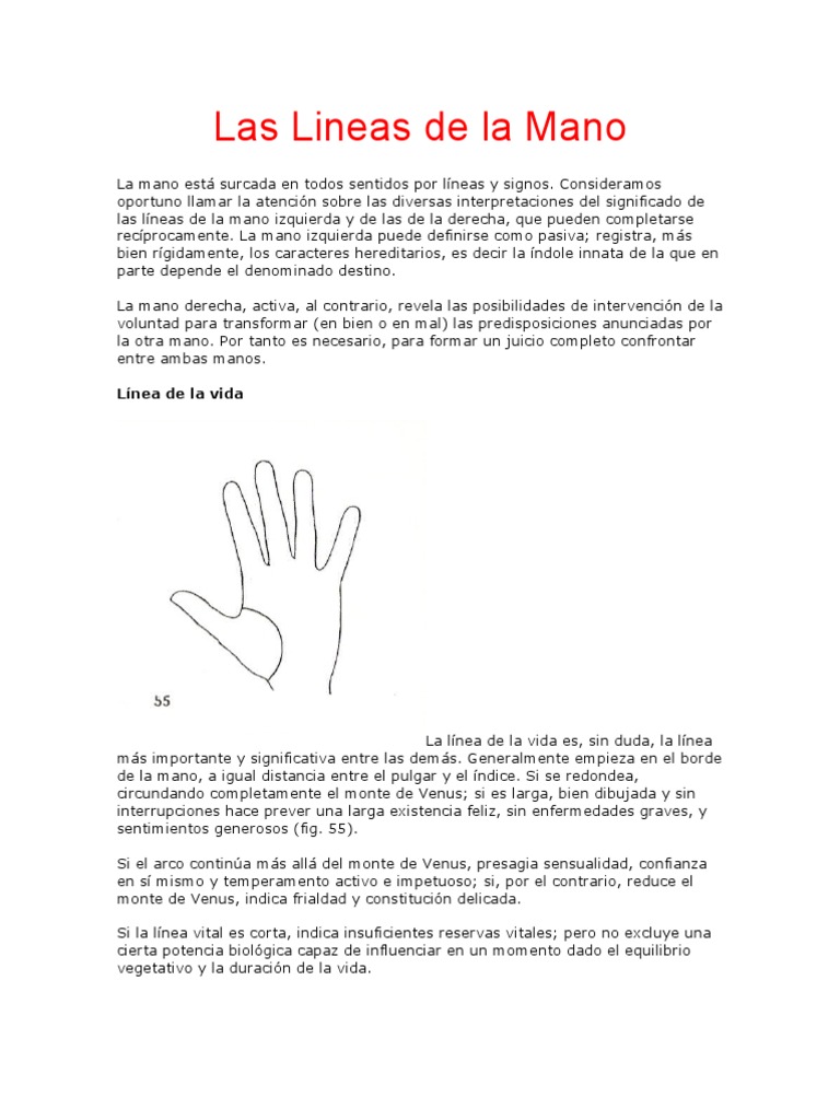 Significado de las Líneas de la Mano | PDF | Vida | Amor