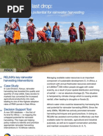 UU200 Tree Planting Report: Mangroves | PDF | Mangrove | Coral Reef