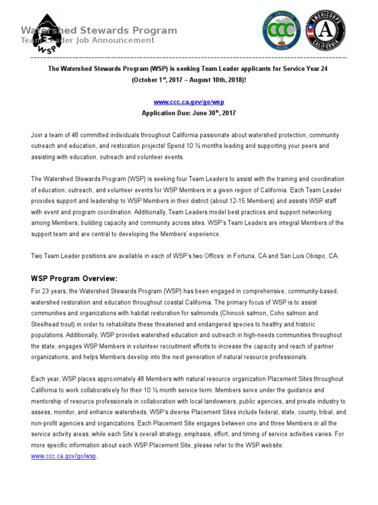 WSP Team Leader Position Defined | Download Free PDF | Recruitment ...